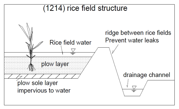 Agricultural Civil Engineering Words